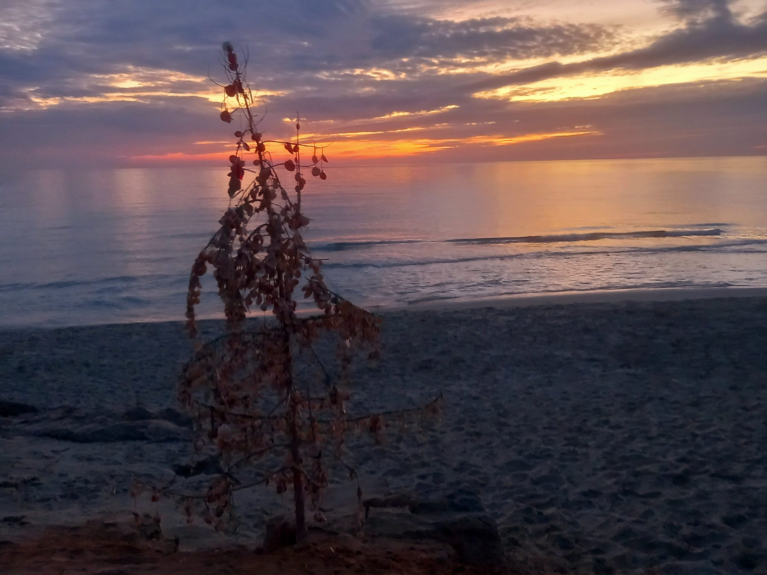 Formentera, le FOTO delle prime due settimane di gennaio 2023, tra sole ...